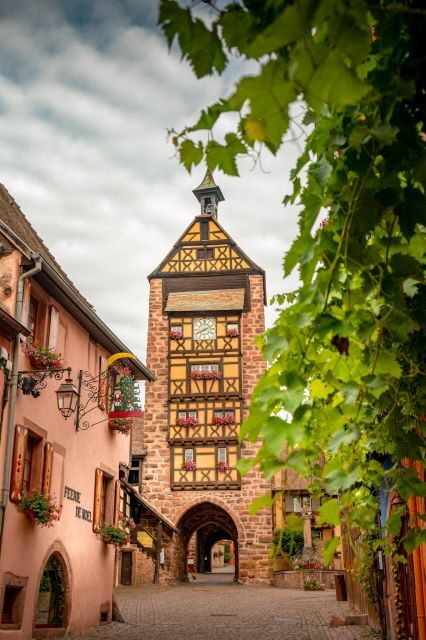 From Colmar: Alsace wine route tour Full Day - Key Points
