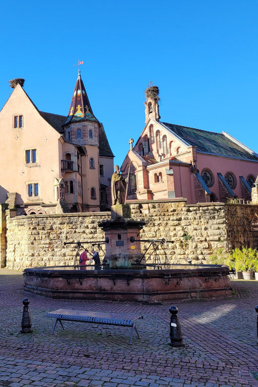 From Colmar: Alsace wine route tour Half Day - Who Will Love This Tour?