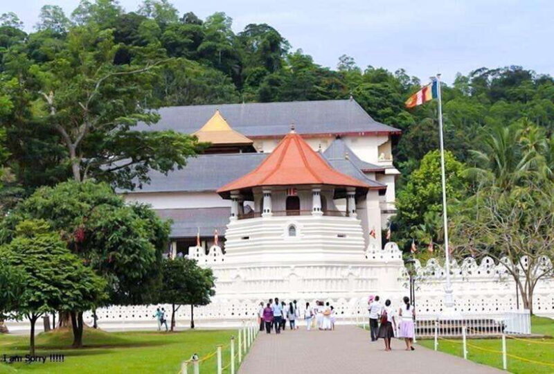 From Colombo: 2-Day Nuwara Eliya, Kandy, and Sigiriya Tour - Who Should Consider This Tour?