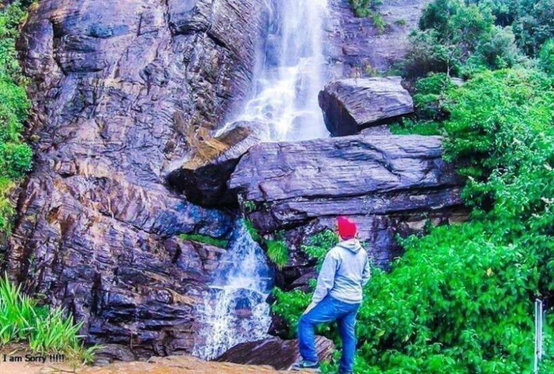 From Colombo: 2-Day Tour to Nuwara Eliya and Kandy - Who Should Consider This Tour?