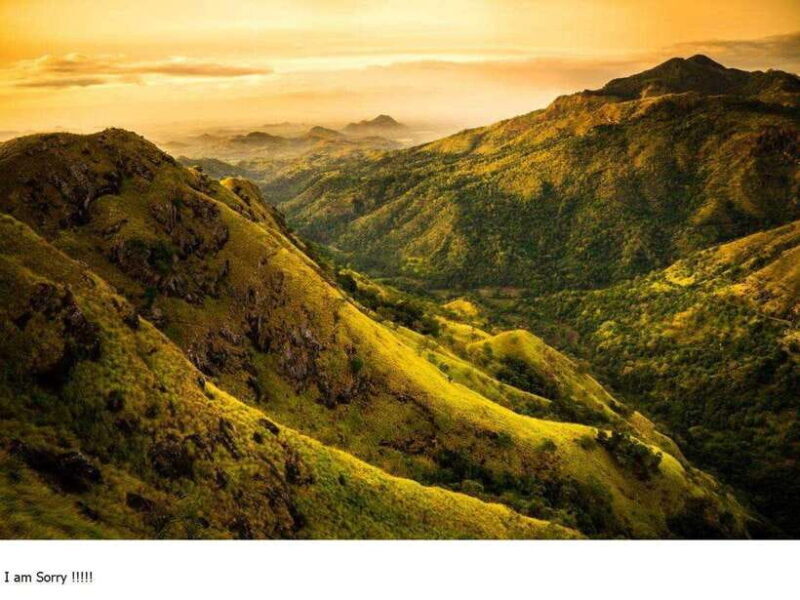 From Colombo: 2-Day Tour to Nuwara Eliya & Transfer Ella - Key Points