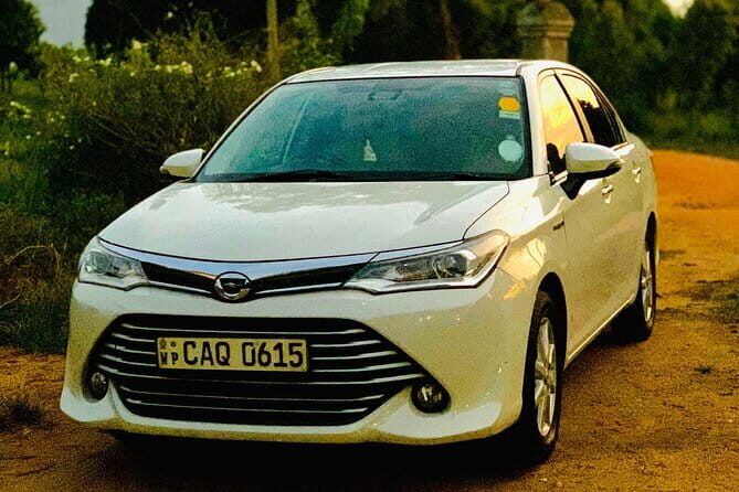 From Colombo Airport to Sigiriya or Kandy Private Transfer - Who Should Consider This Transfer?