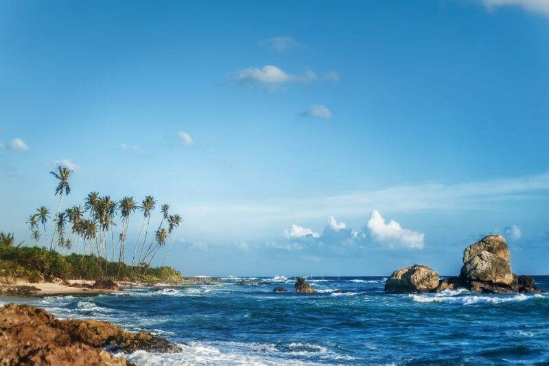 From Colombo: Day Trip to Galle City, Koggala and Unawatuna - Who Should Consider This Tour?