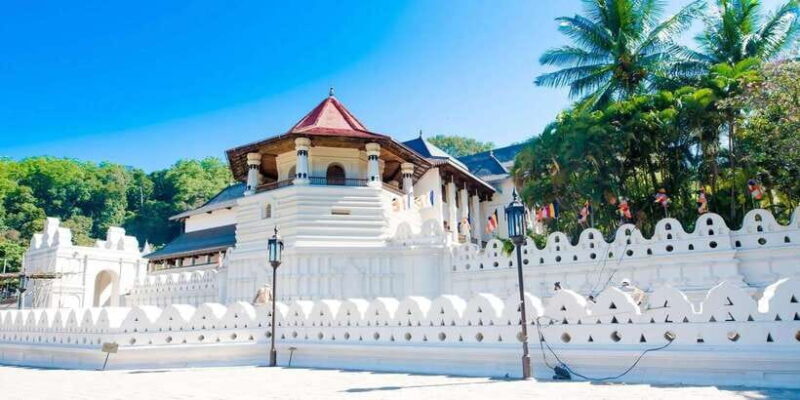 From Colombo : Day Trip to Kandy/ Pinnwala/ Royal Gardens - Who Should Take This Tour?