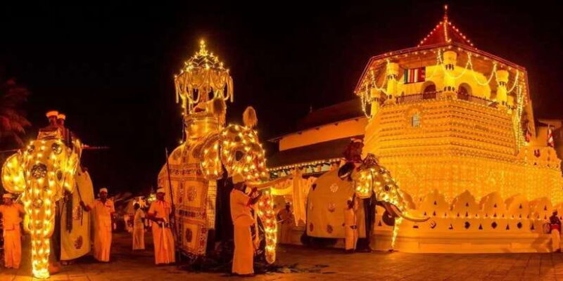 From Colombo - Day Trip to Kandy/ Pinnwala/ Royal Gardens - Key Points