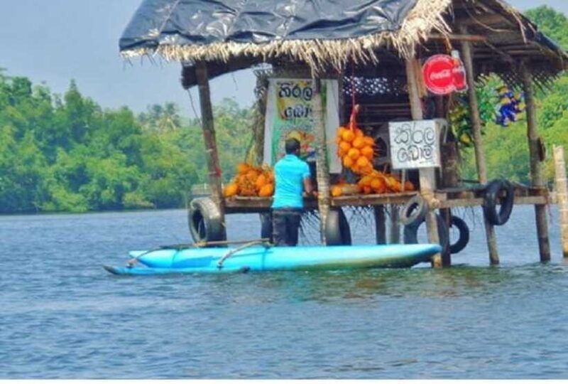 From Colombo: Exclusive Madu River Safari & Turtle Hatchery - Practical Details and Value