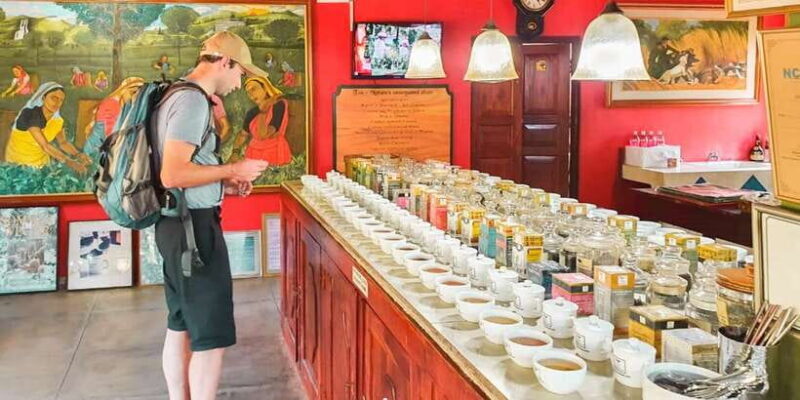 From Colombo: Handungoda, Galle, Ahangama, & Kosgoda Tour - The Itinerary in Detail