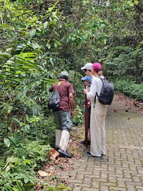 From Colombo/Kalutara: Full-Day Sinharaja Guided Eco Trek - The Experience Provider