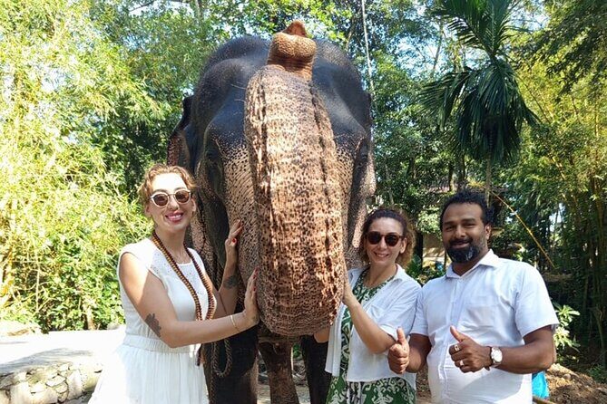 From Colombo: Kandy and Pinnawala Full-Day Trip - Key Points