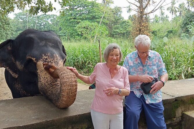 From Colombo: Kandy and Pinnawala Full-Day Trip - Pinnawala Elephant Orphanage