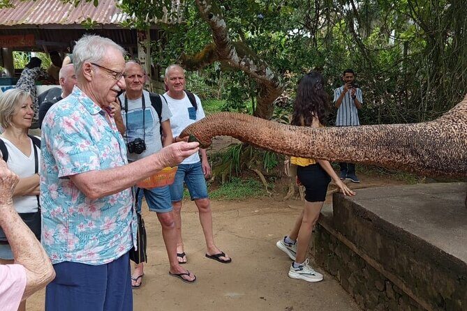 From Colombo: Kandy and Pinnawala Full-Day Trip - Kandy View Point and Bahiravokanda Vihara Buddha Statue