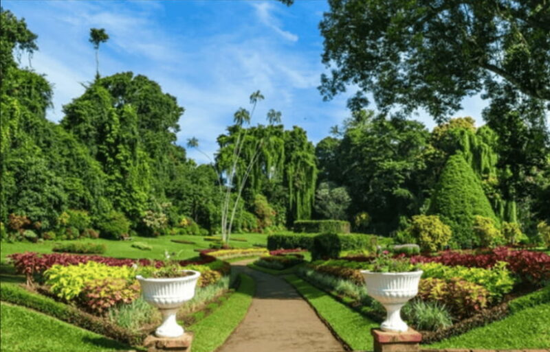 From Colombo: Kandy and Tea Plantations Day Trip - Key Points