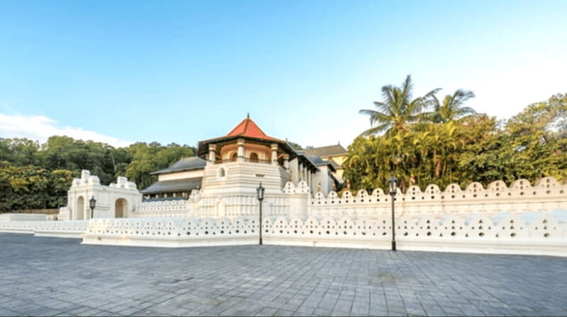 From Colombo: Kandy and Tea Plantations Day Trip - Setting the Scene: What You Can Expect