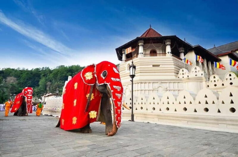 From Colombo: Kandy, Pinnawala and Tea Factory Full-Day Trip - An Honest Breakdown of the Experience