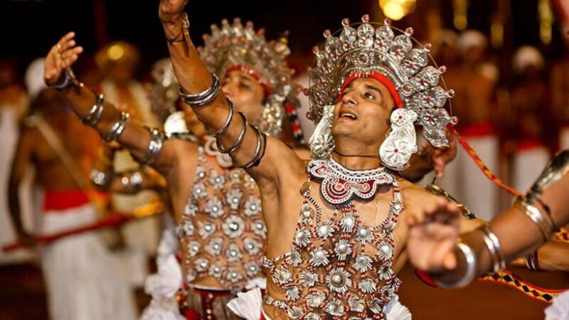 From Colombo: Kandy, Pinnawala and Tea Factory Full-Day Trip - Who Should Book This Tour?