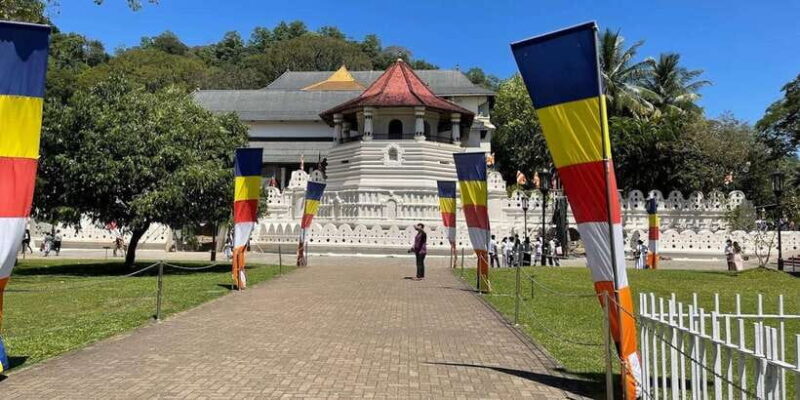 From Colombo: Kandy & Pinnawala & Tea Factory Full Day Trip - A Detailed Look at the Experience