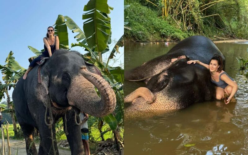 From Colombo: Kandy Temple of Tooth & Elephant Orphanage - Discovering Kandy and Pinnawala: A Full-Day Adventure from Colombo