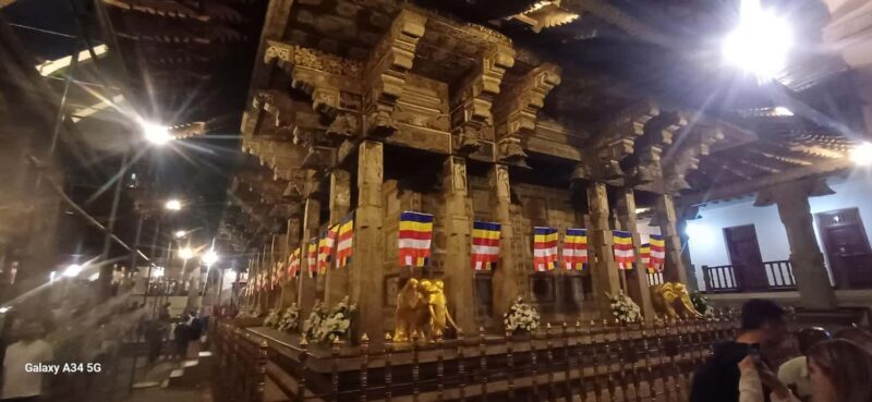 From Colombo: Kandy Temple of Tooth & Elephant Orphanage - Who Is This Tour Best Suited For?