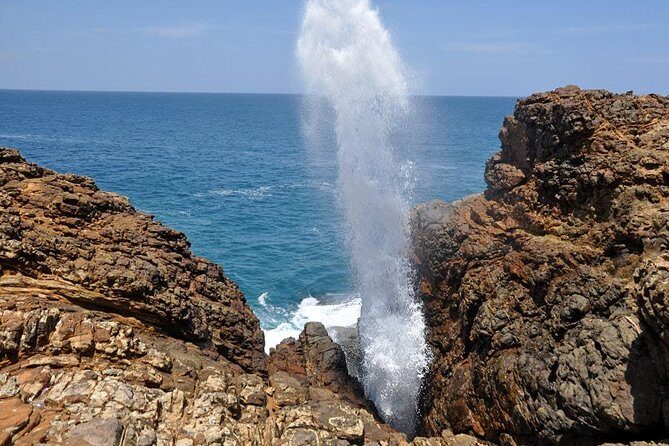 From Colombo/ Negambo - Southern SriLanka Day Trip - Authenticity & Guide Expertise