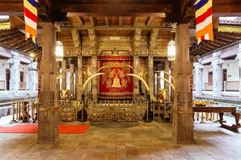 From Colombo & Negombo: Elephant Orphange and Kandy day Trip - The Sum Up