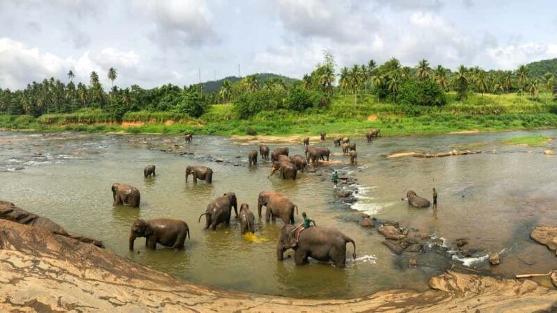 From Colombo & Negombo: Elephant Orphange and Kandy day Trip - FAQ