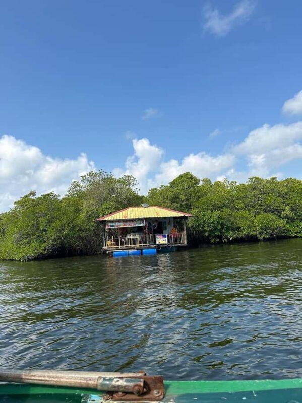 From Colombo/Negombo: Galle, Madu River, and Turtle Hatchery - The Sum Up