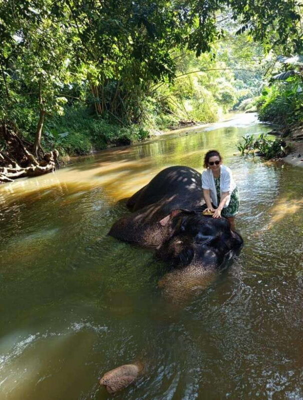 From Colombo or Negombo: Pinnawala, Kandy & Tea Factory Tour - Key Points