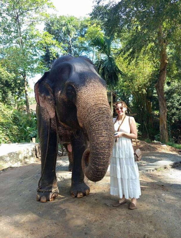 From Colombo or Negombo: Pinnawala, Kandy & Tea Factory Tour - The Practical Side: Transportation, Timing, and Group Size