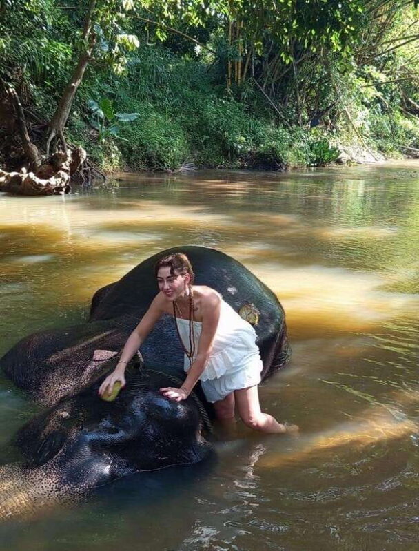 From Colombo or Negombo: Pinnawala, Kandy & Tea Factory Tour - Authentic Experiences and Insights from Reviews