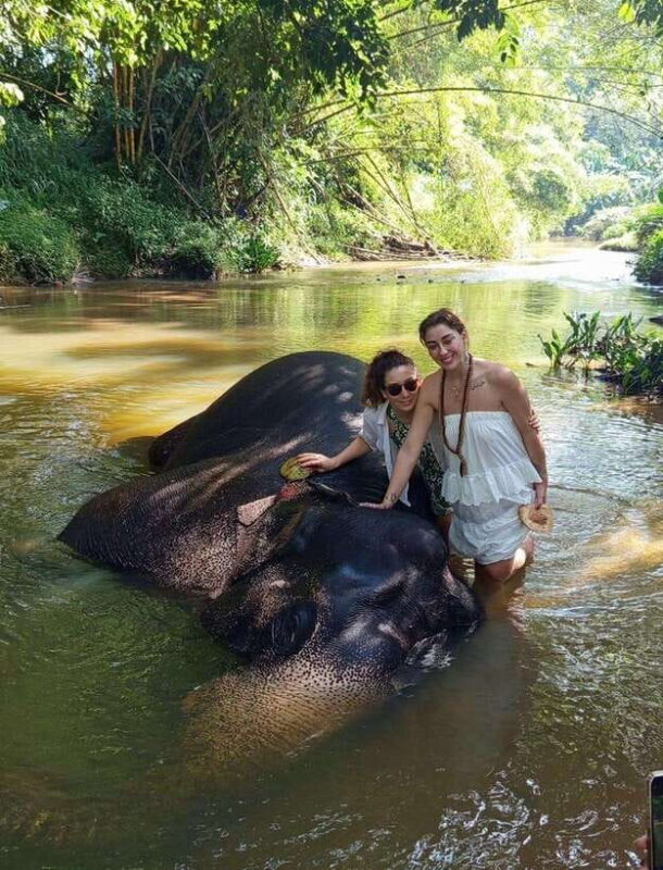 From Colombo or Negombo: Pinnawala, Kandy & Tea Factory Tour - Final Thoughts