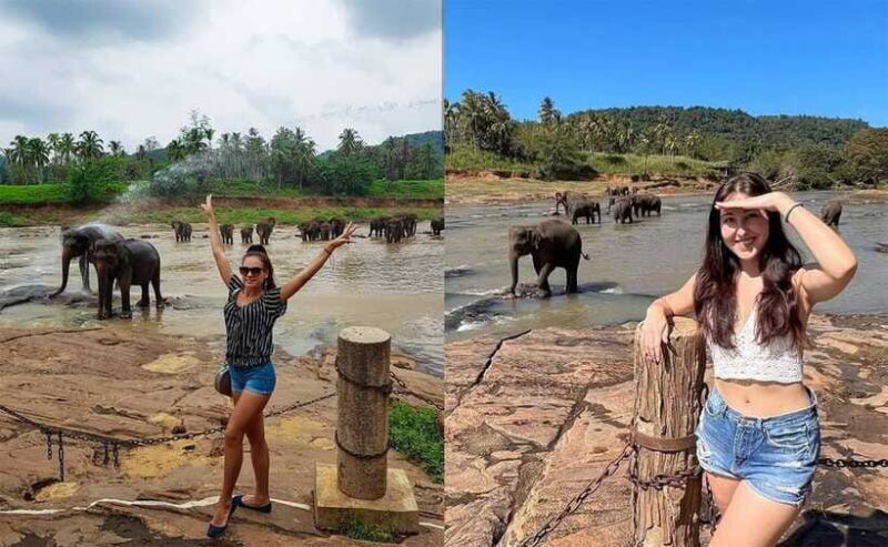 From Colombo: Pinnawala & Tea factory with Kandy Hotel Drop - Authentic Experiences and Practical Details