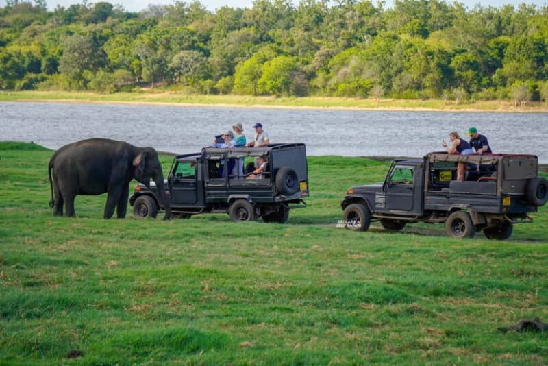 From Colombo: Private 2-Day Trip Dambulla, Sigiriya & Safari - Final Thoughts