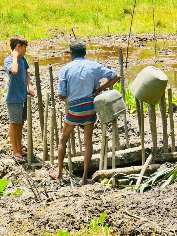 From Colombo: Ratnapura Gem, Tea & Spice Day Tour - Key Points