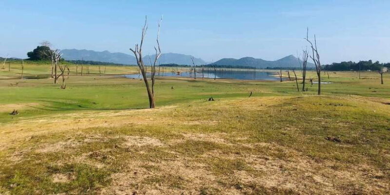 From Colombo: Sigiriya and Dambulla Day Trip - Starting the Journey: From Colombo to Sigiriya