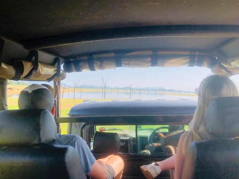 From Colombo: Sigiriya and Dambulla Day Trip - Practical Considerations & Tips