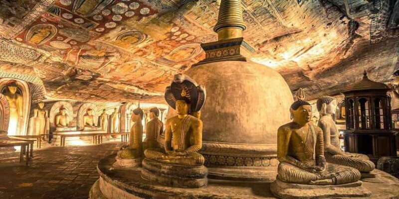 From Colombo: Sigiriya and Dambulla Day Trip with Safari - The Sum Up