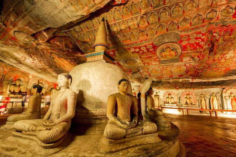From Colombo: Sigiriya / Dambulla & Safari Day Tour - Exploring the From Colombo: Sigiriya / Dambulla & Safari Day Tour