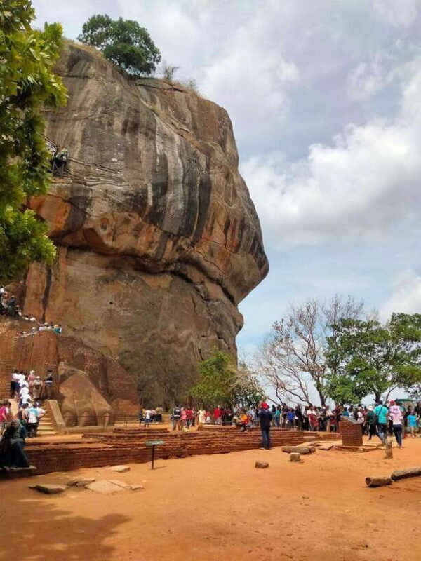From Colombo: Sigiriya Rock, Dambulla & Minneriya 4x4 Safari - Practical Considerations