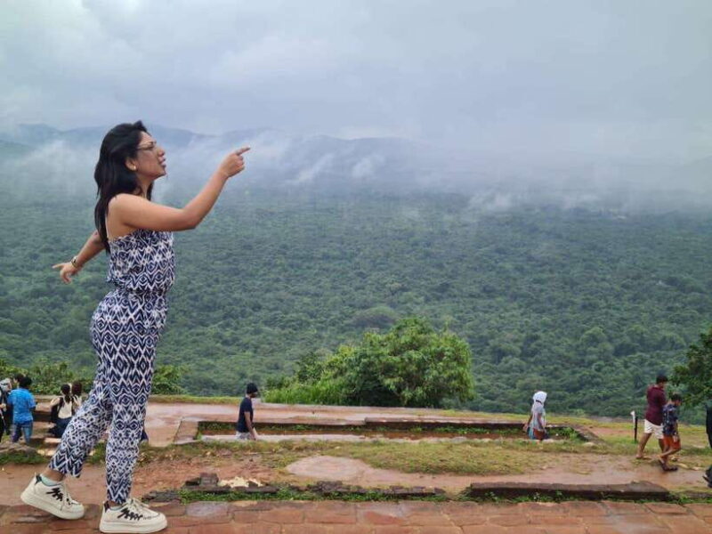 From Colombo: Sigiriya Rock, Dambulla & Minneriya 4x4 Safari - Who Will Love This Tour?