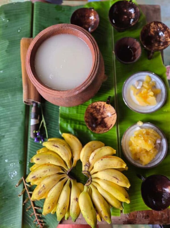From Colombo: Sinharaja Kithul Toddy Tasting & Stream Bath - An Honest Look at the Experience