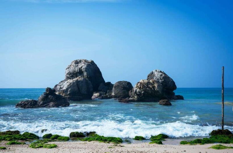 From Colombo to Galle Fort and Jungle Beach Day Trip - Who Should Consider This Tour?