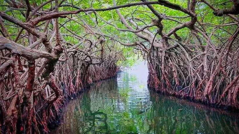 From Colombo to Galle Fort and Unawatuna Beach Day Trip - The Sum Up: Is This Tour Worth It?