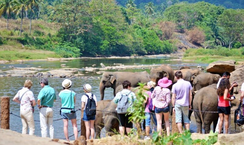 From Colombo to Yala 6-Day Private Trip with 21-Sites - The Scenic Hill Country Train Journey