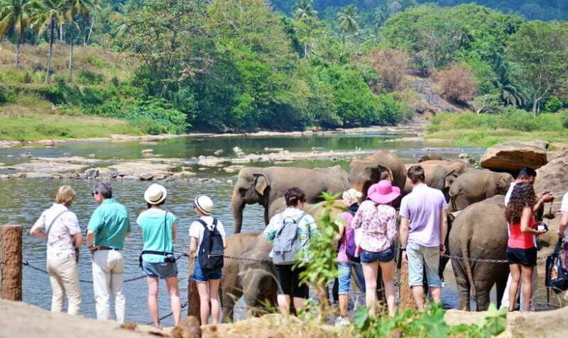From Colombo to Yala 6-Day Private Trip with 21-Sites - Wildlife and Nature at Yala National Park