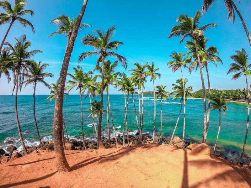 From Colombo to Yala 6-Day Private Trip with 21-Sites - Relaxing on the West Coast Beaches