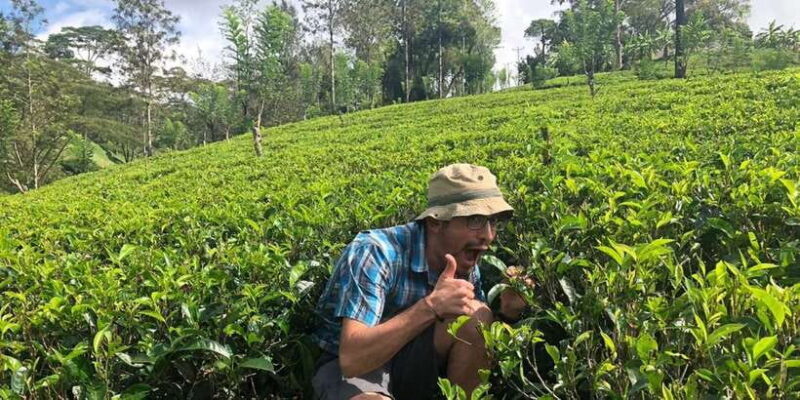 From Colombo: Virgin White Tea and Galle City Tour - Key Points