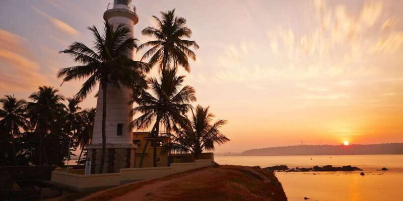 From Colombo: Virgin White Tea and Galle City Tour - An In-Depth Look at the Tour Experience