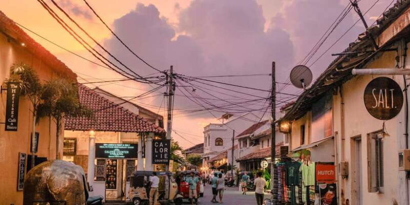 From Colombo: Virgin White Tea and Galle City Tour - Who This Tour Is Best For