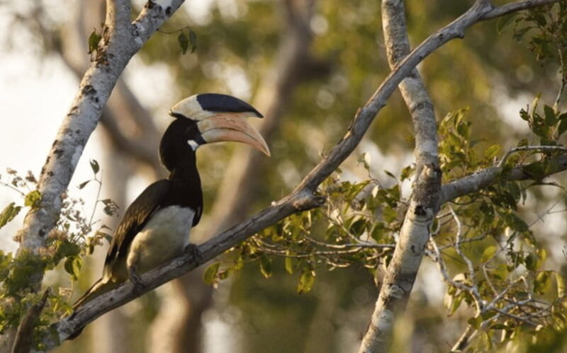 From Colombo: Wilpattu National Park Safari - Final Thoughts