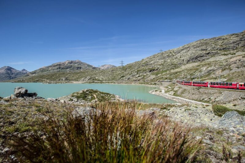 From Como: St. Moritz and Tirano Trip with Bernina Express - Reviews and Authentic Perspectives